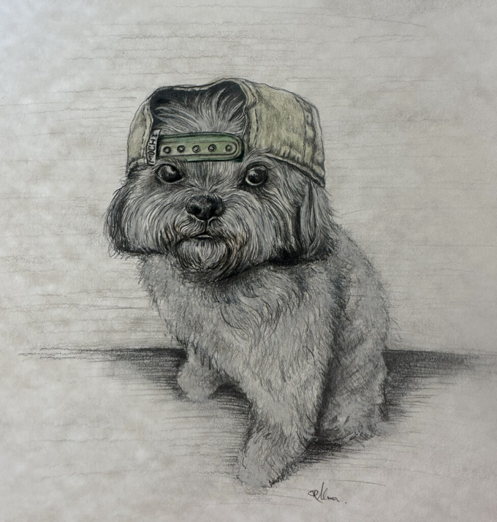 Market Dates – Kirribilli Markets